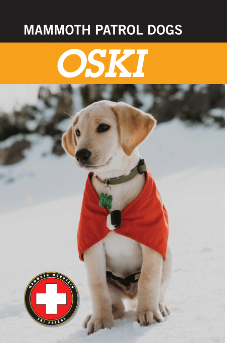 MAMMOTH PATROL DOG -- OSKI